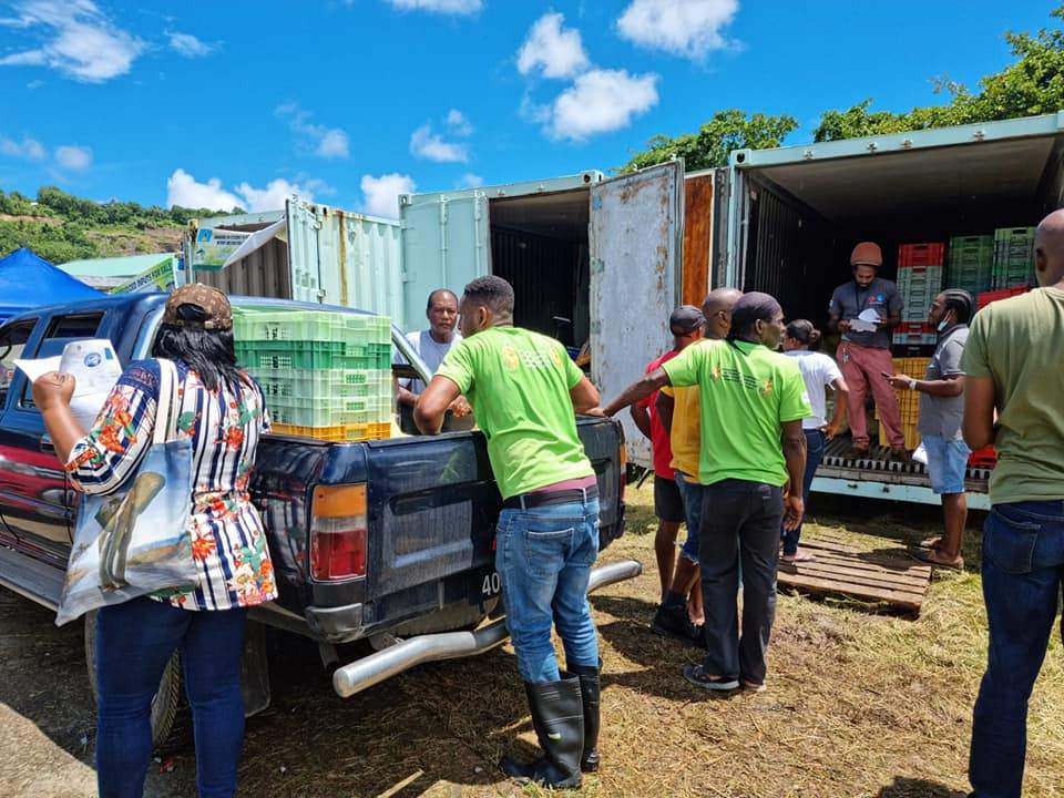 SCENES AT THE SUBSIDIZED AGRICULTURAL INPUT SALE - Ministry of ...